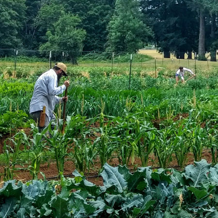 Organic Farming Certificate | CCC